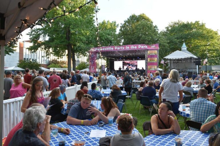 VIP Passes - Painesville Improvement